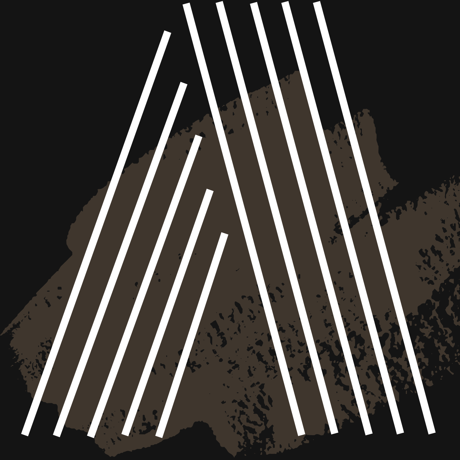 About Me - Aces International